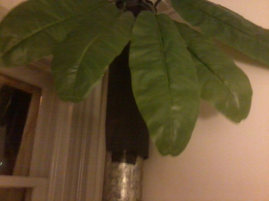 Turning Pipes Into Trees #DIY #tutorial